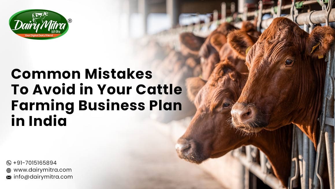 Cattle Farming Business Plan in India | Dairy Mitra